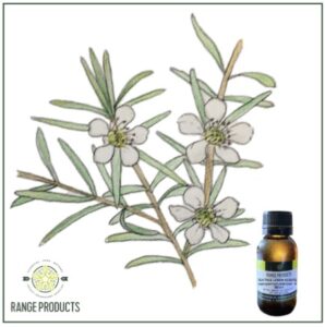 Tea Tree Lemon Scented Essential Oil - Range Products