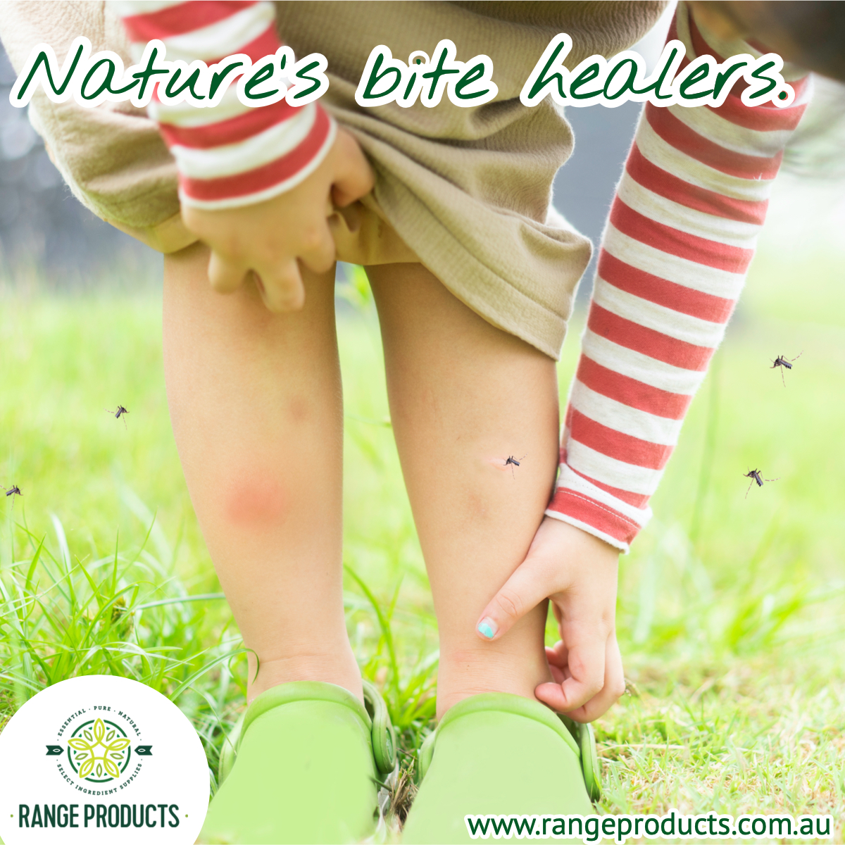 Which essential oils are good for insect bites? - Range Products